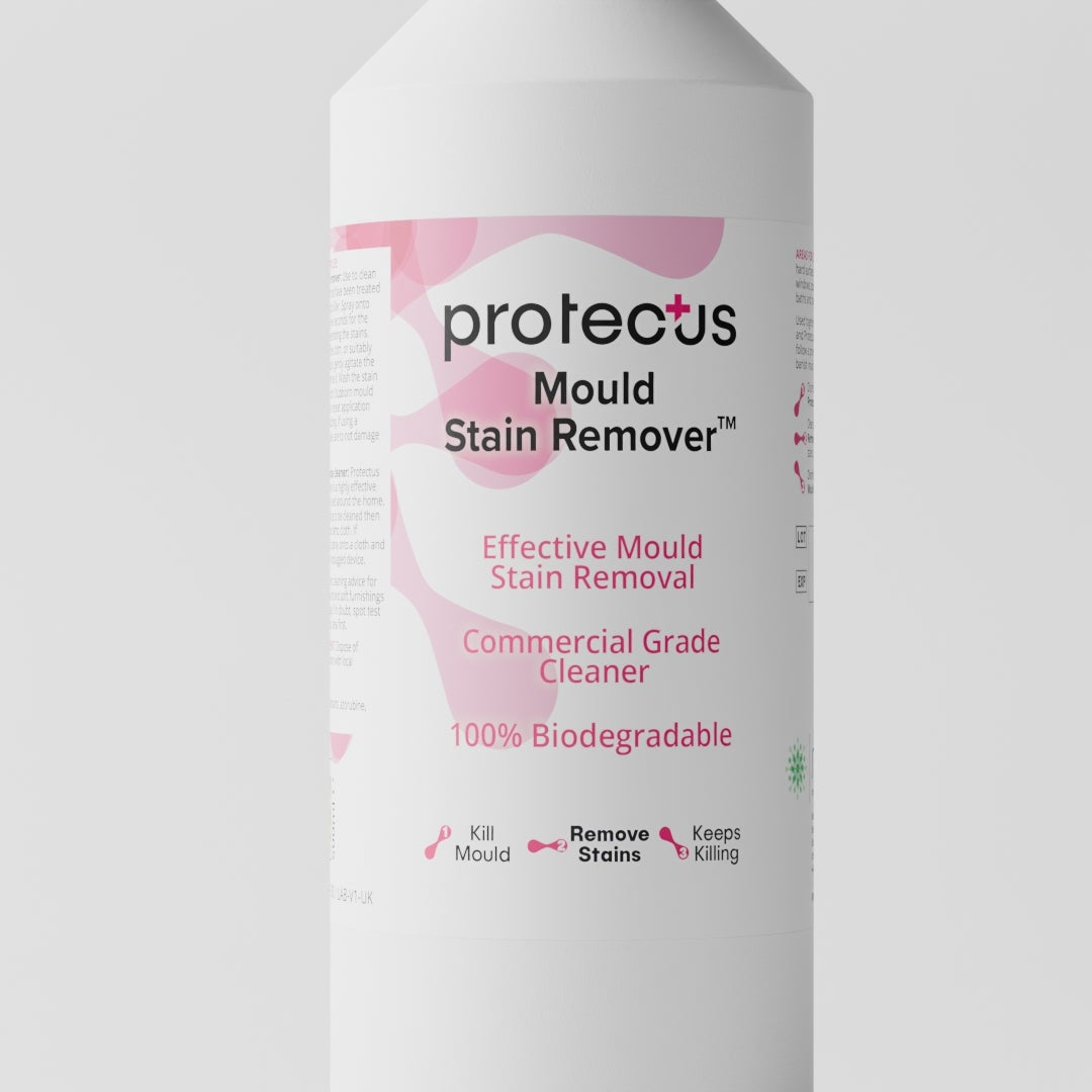 Protectus Mould Killer Spray & Stain Remover Spray | Fast Lasting Mould ...